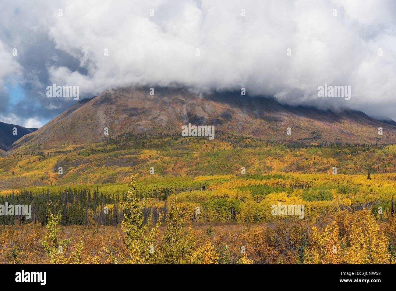 Landscape, road trip scenes in Yukon Territory, during fall, autumn ...