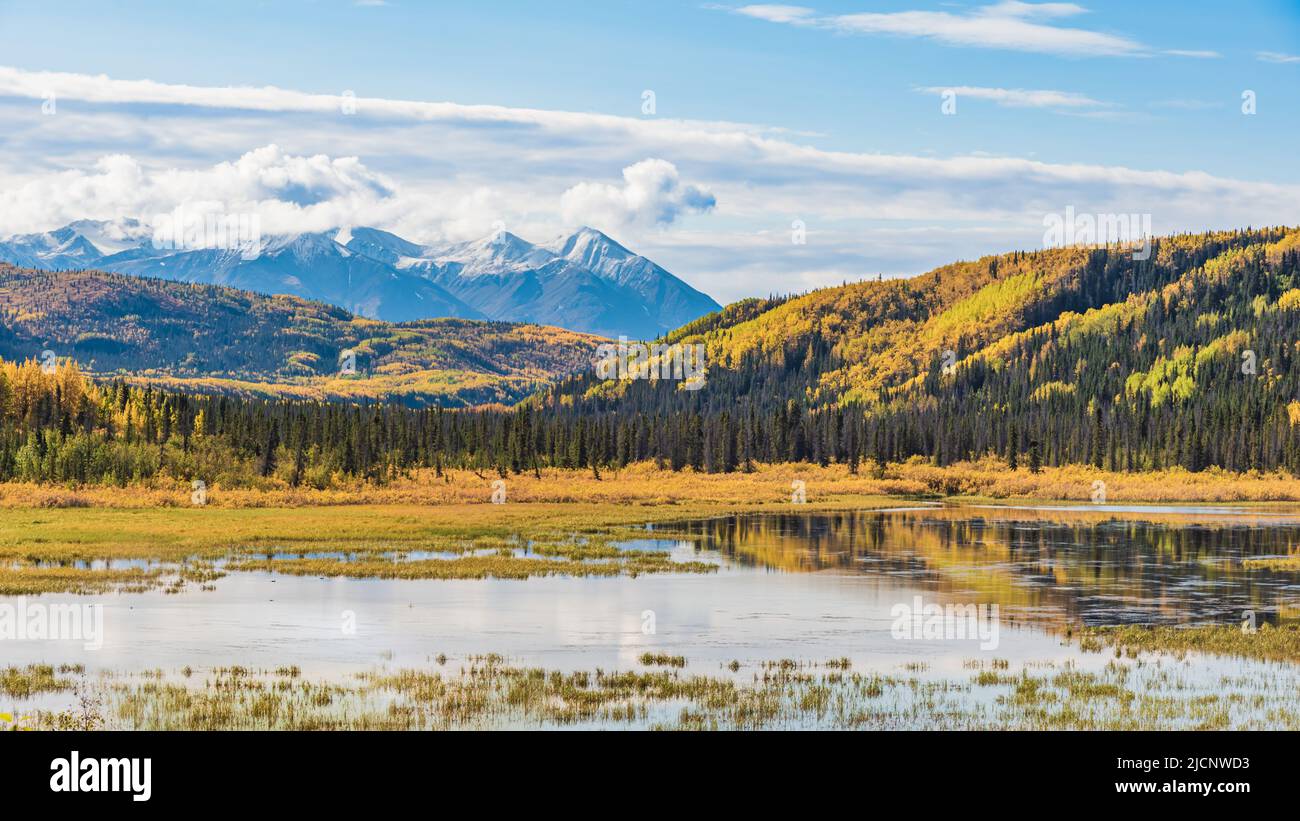 The remarkable, stunning, autumn, fall landscape of Yukon Territory in ...