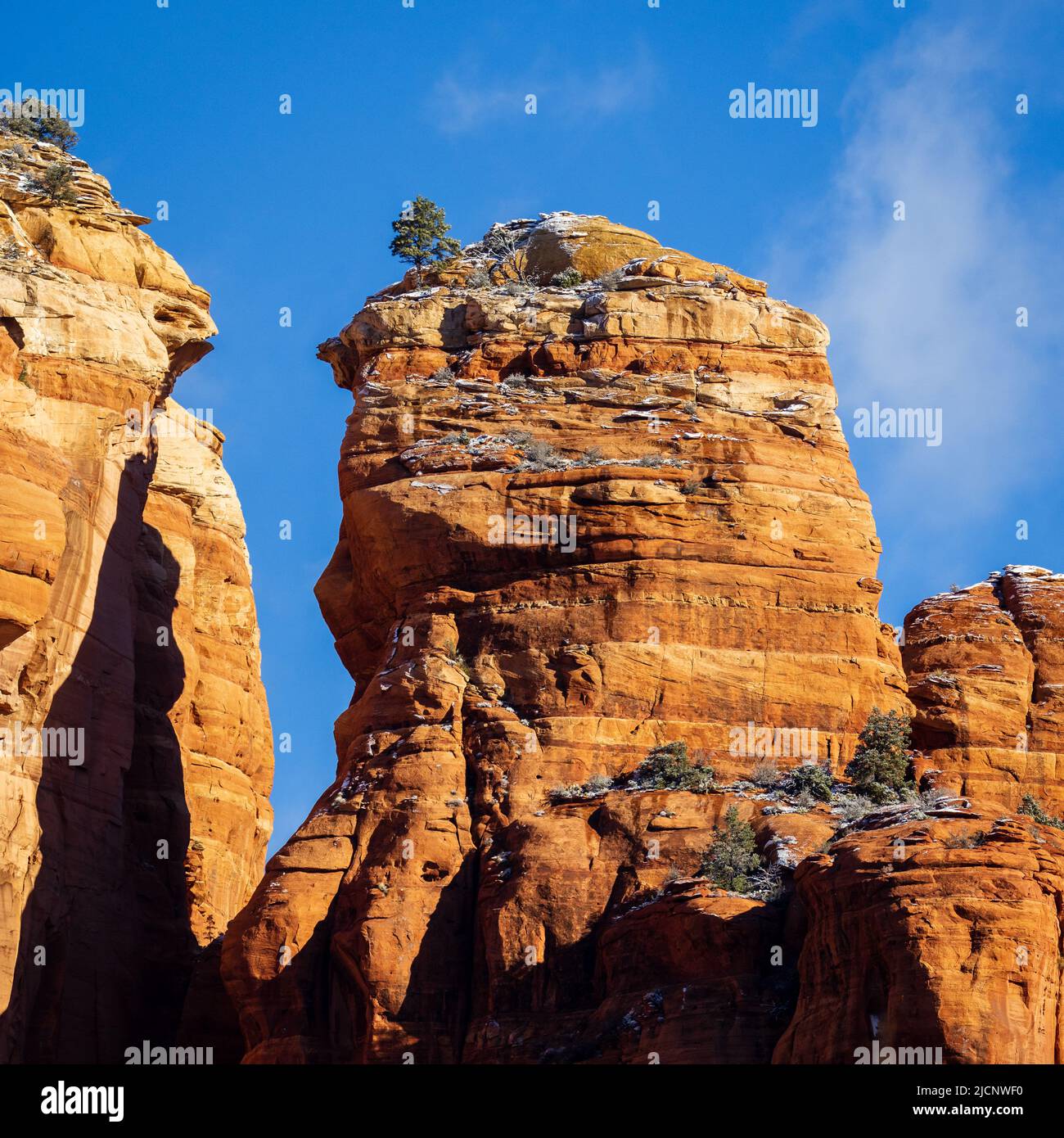 A lone pine tree has a lofty perch on the wintry Sedona rock formations ...