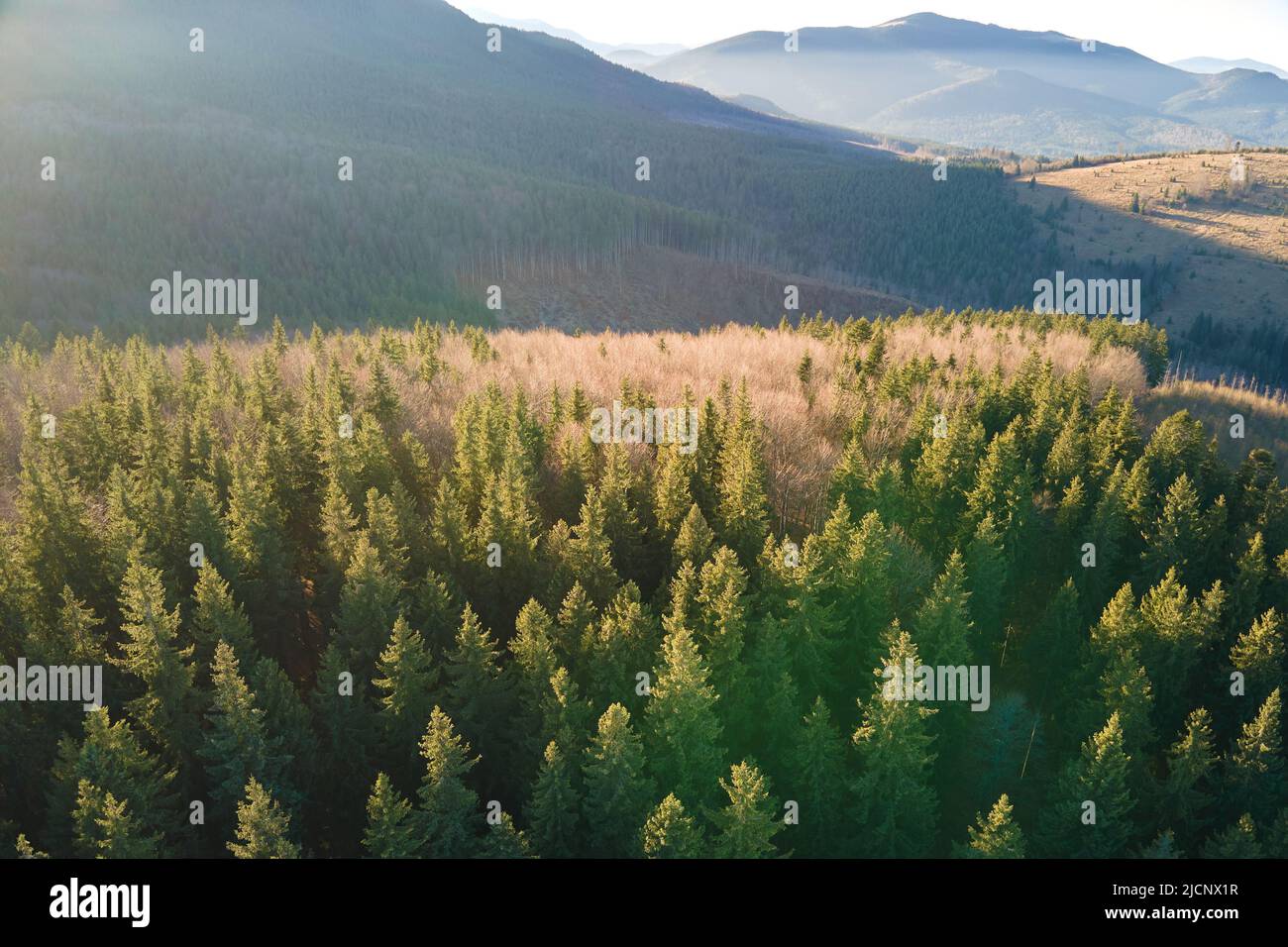 Aerial view of amazing scenery with light beams shining through foggy ...