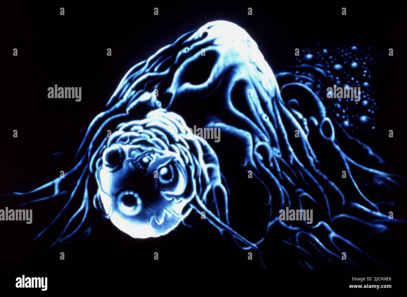 Illustration of a macrophage white blood cell engulfing a yeast cell ...