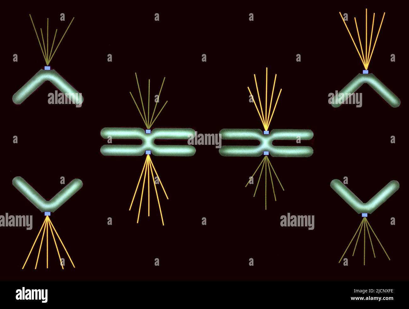 Illustration of chromosomes in metaphase (centre) and anaphase (right ...