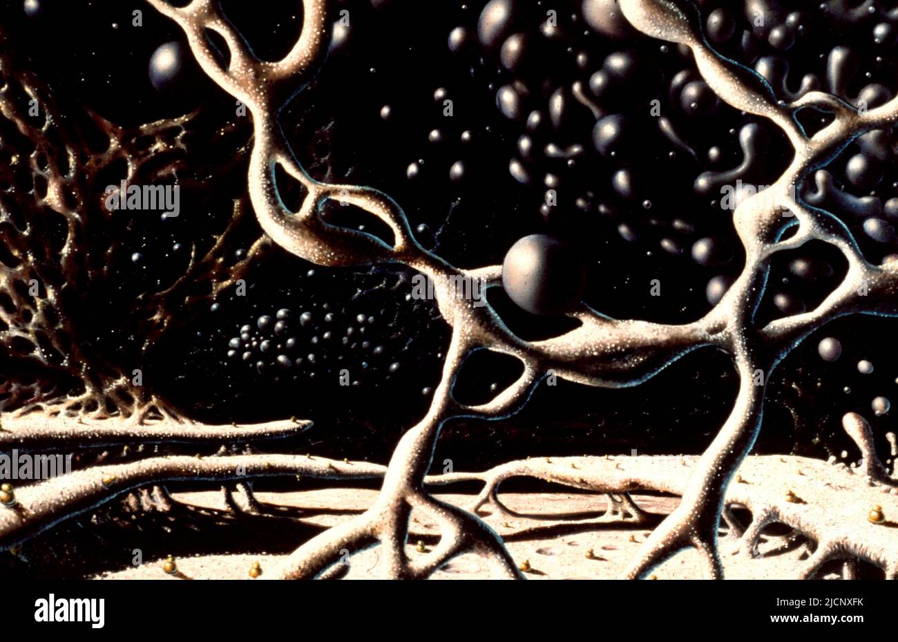 Illustration of the structure of a typical animal cell. The cell ...