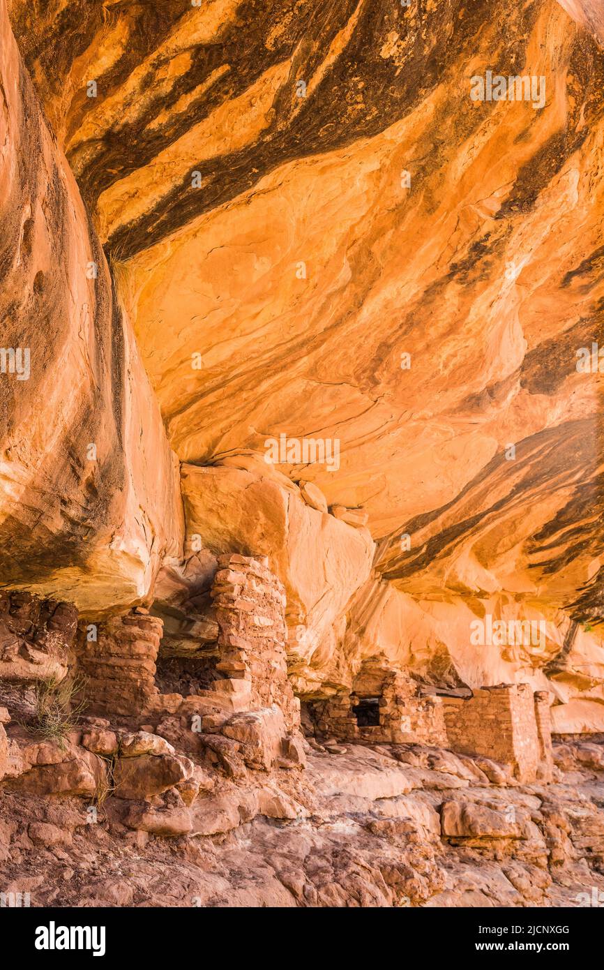 Ancient 1,000 year old Ancestral Puebloan cliff dwelling in Mule Canyon ...
