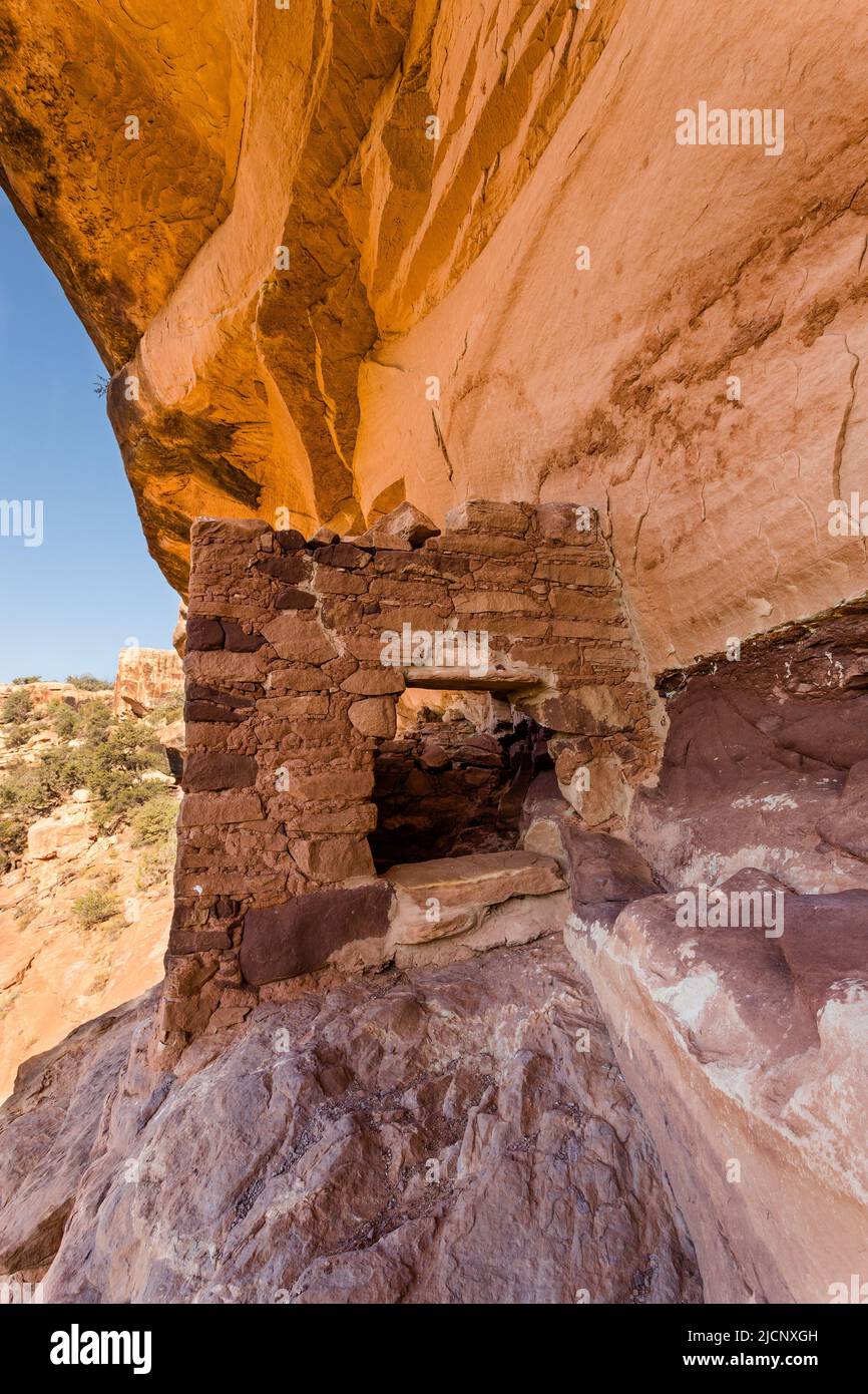 Ancient 1,000 year old Ancestral Puebloan cliff dwelling in Mule Canyon ...