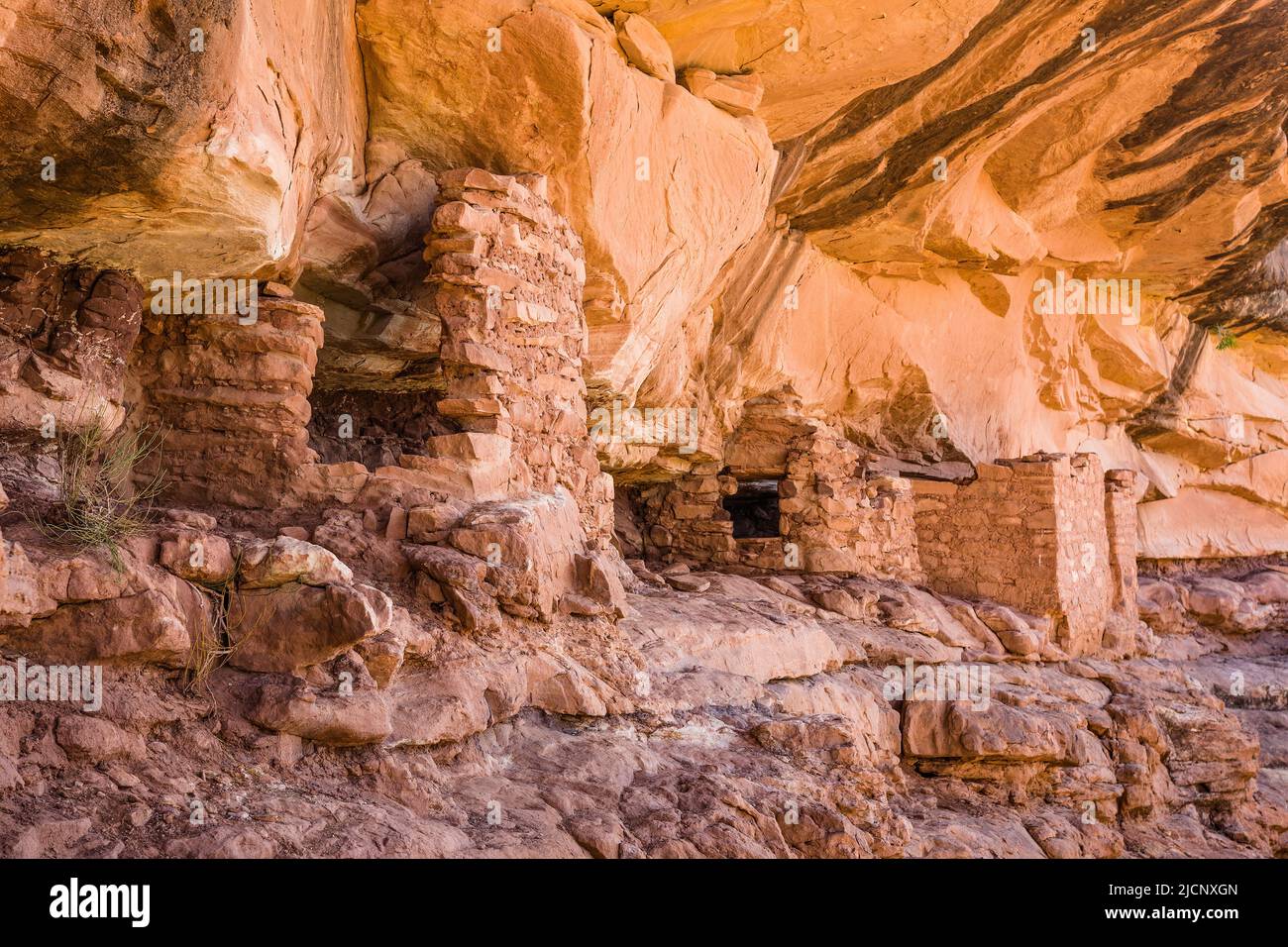 Ancient 1,000 year old Ancestral Puebloan cliff dwelling in Mule Canyon ...