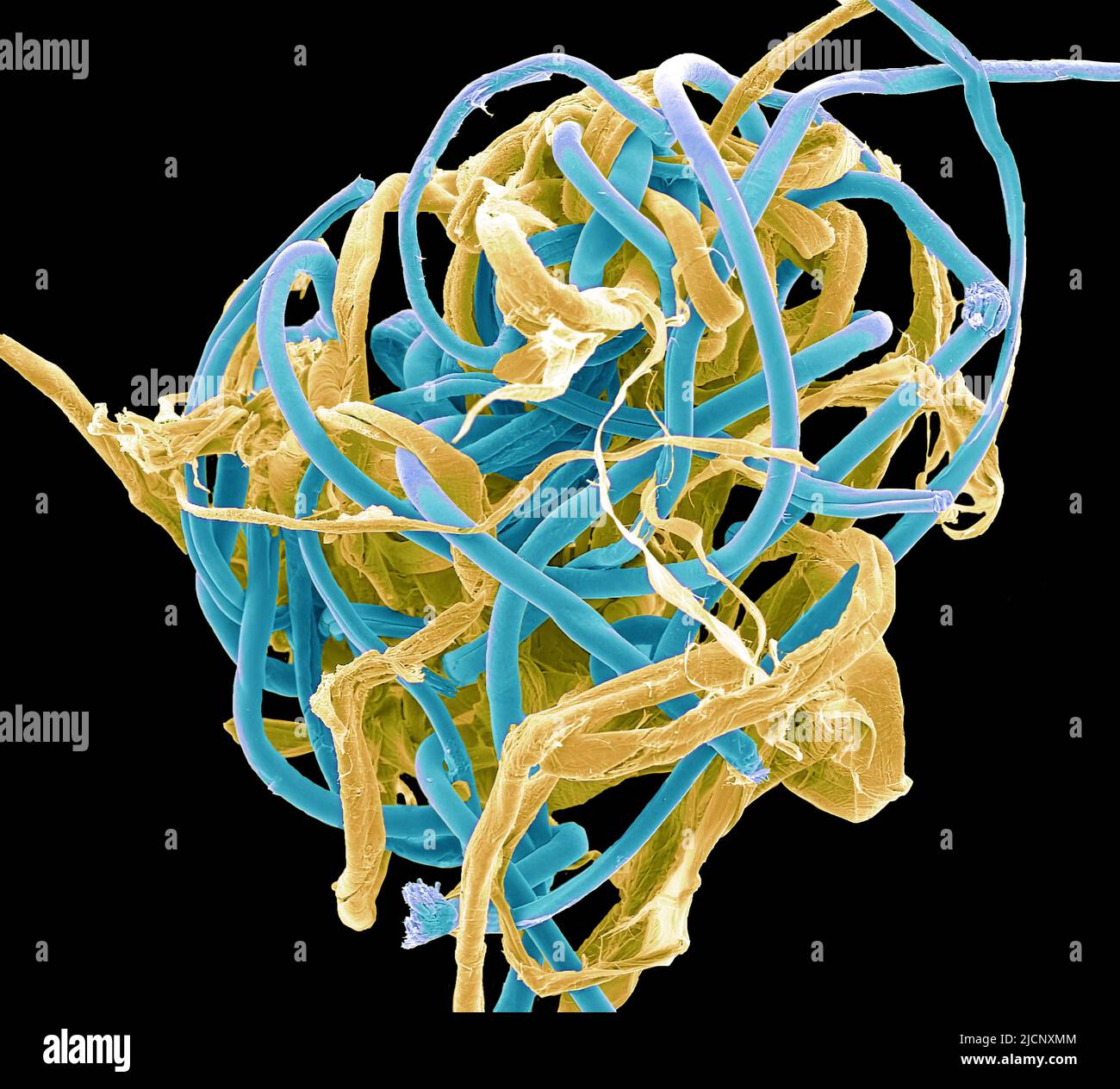 Microplastic bobble. Coloured scanning electron micrograph (SEM) of a ...