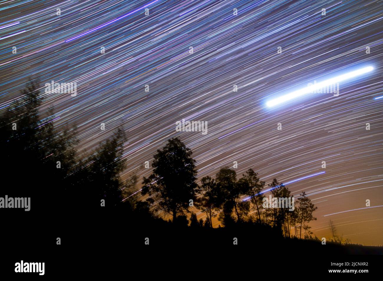 Star trails and Jupiter (white streak) above the silhouette of trees in ...
