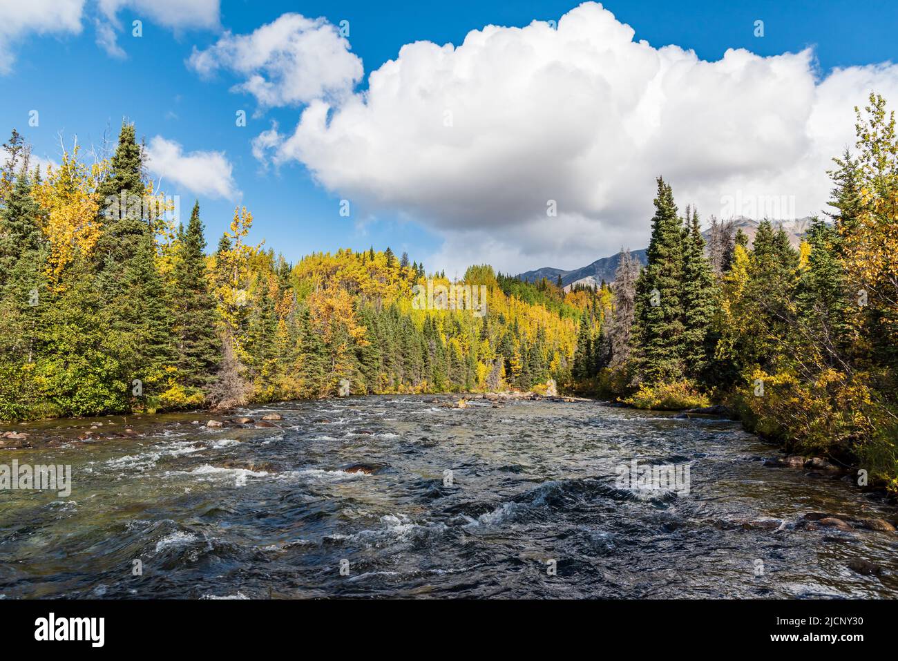 Stunning boreal forest views in northern Canada during fall, autumn ...