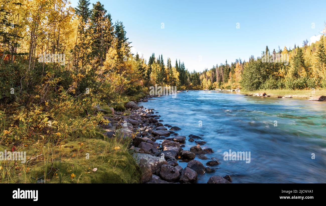 Stunning boreal forest views in northern Canada during fall, autumn ...