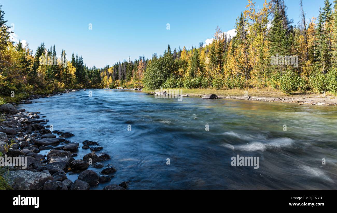 Stunning boreal forest views in northern Canada during fall, autumn ...