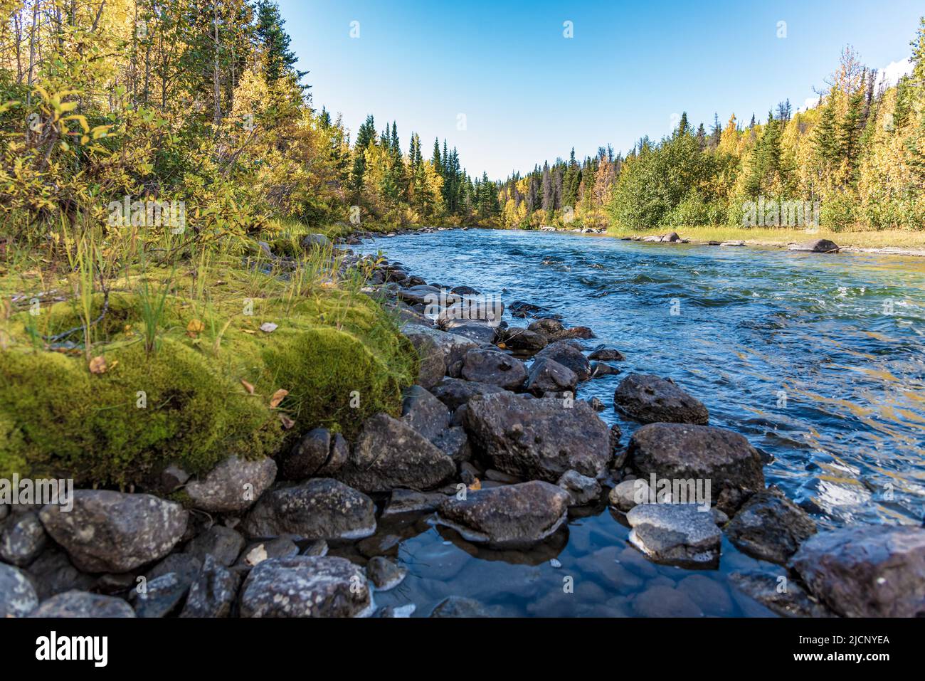 Stunning boreal forest views in northern Canada during fall, autumn ...