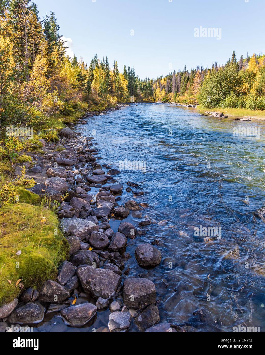 Stunning boreal forest views in northern Canada during fall, autumn ...