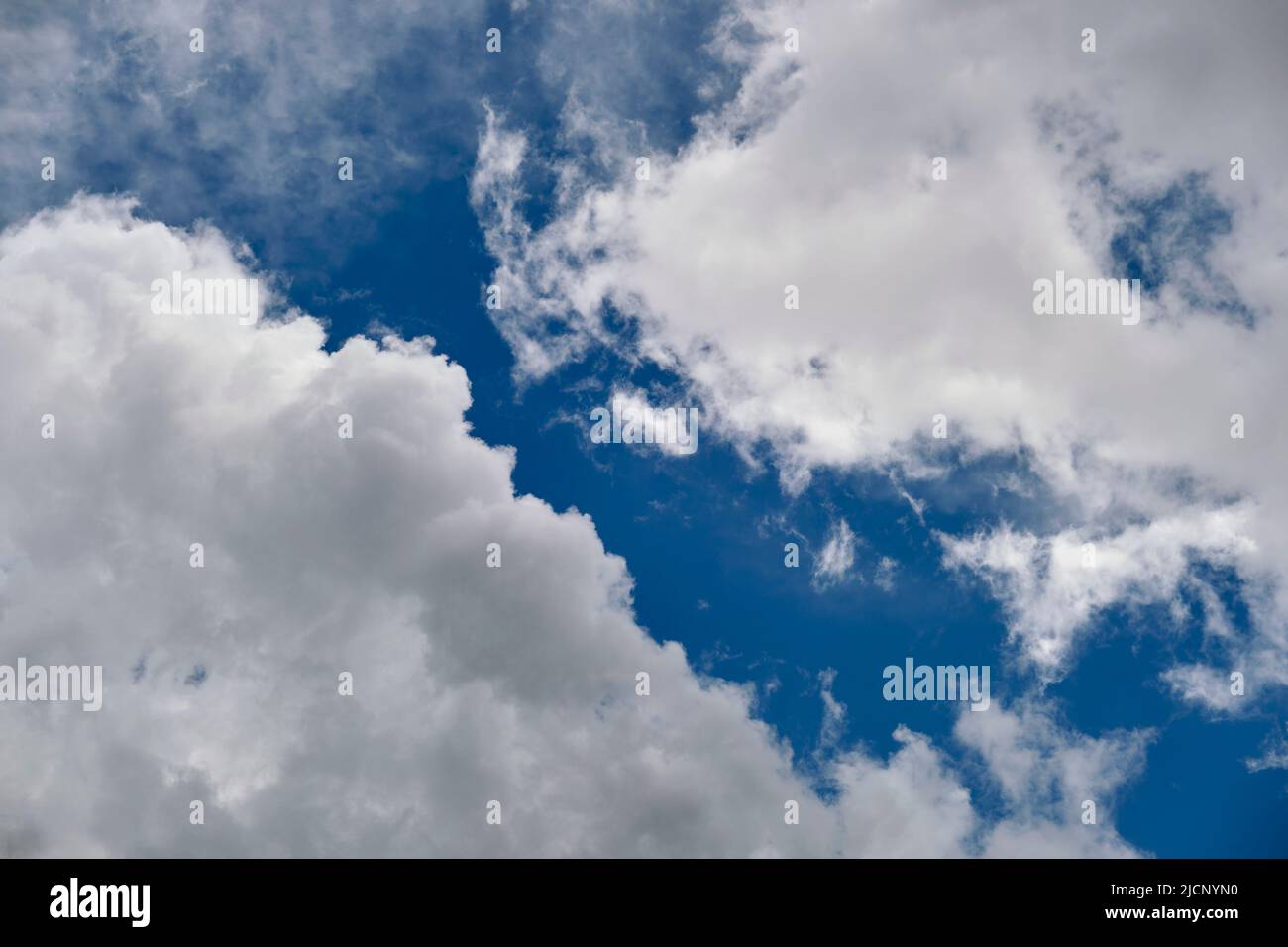White puffy cumulus clouds on summer blue sky Stock Photo - Alamy