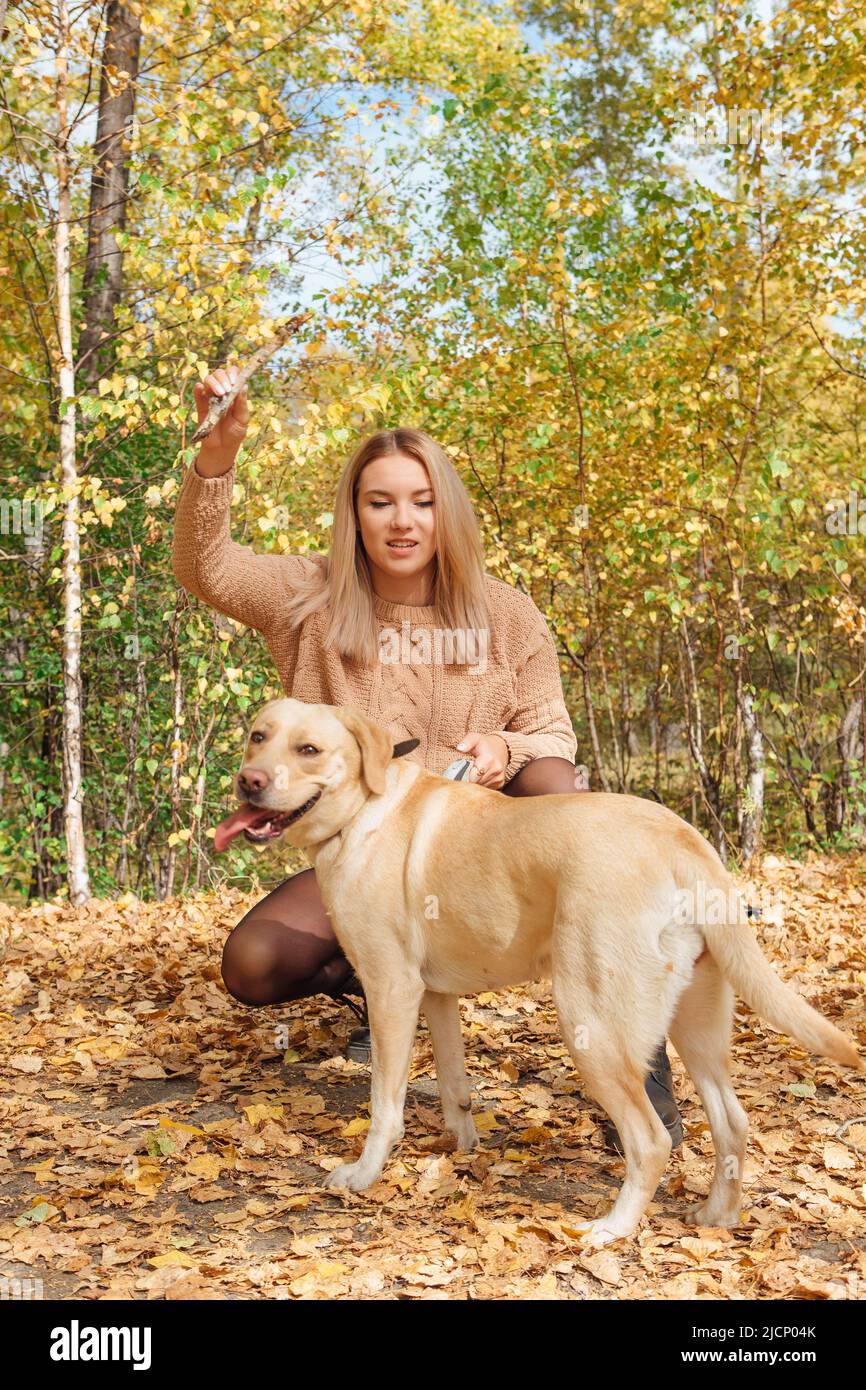 Young beautigul caucasian woman walking with her beloved labrador dog ...