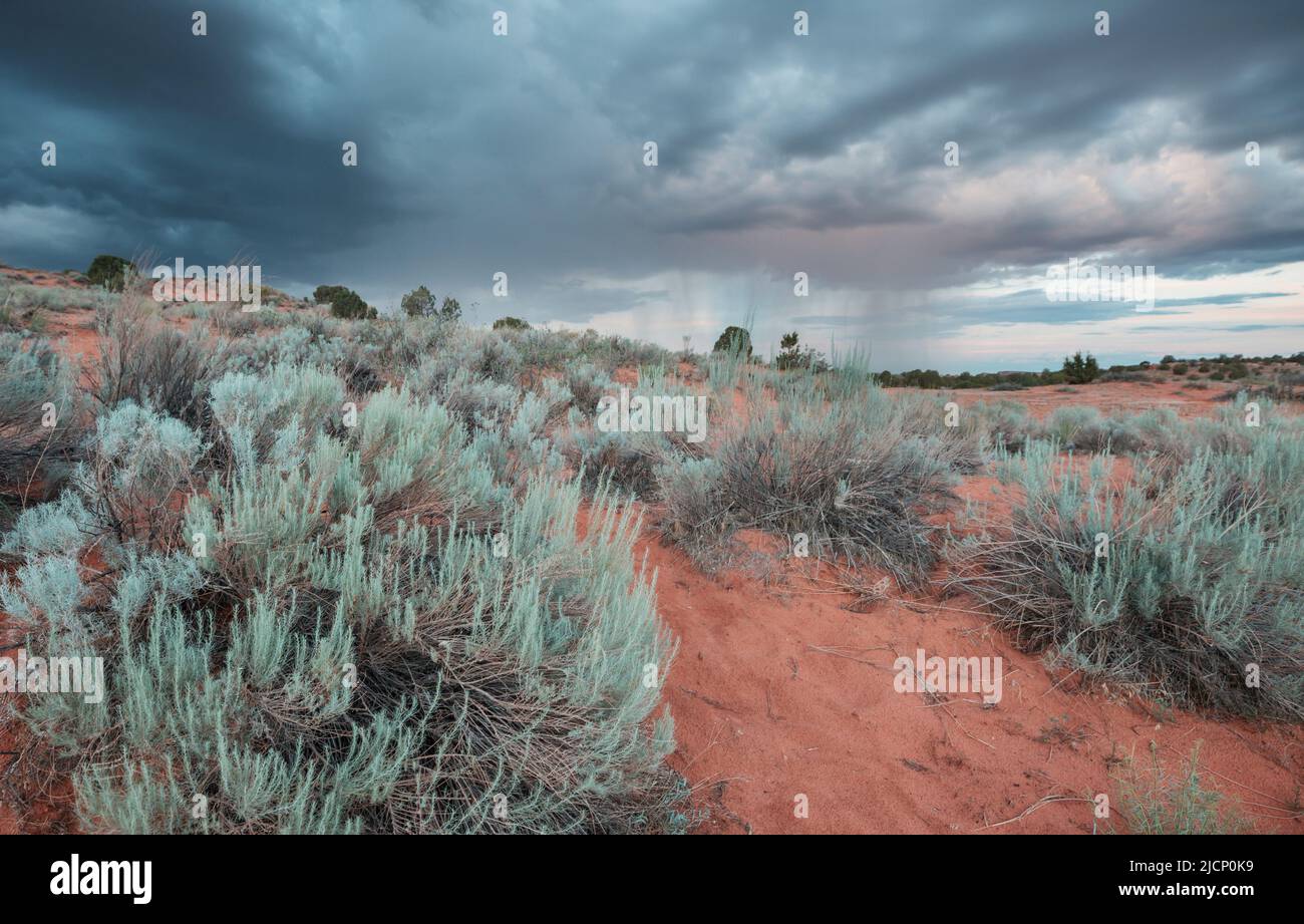 American landscapes- prairie and cliffs, Utah, USA Stock Photo - Alamy