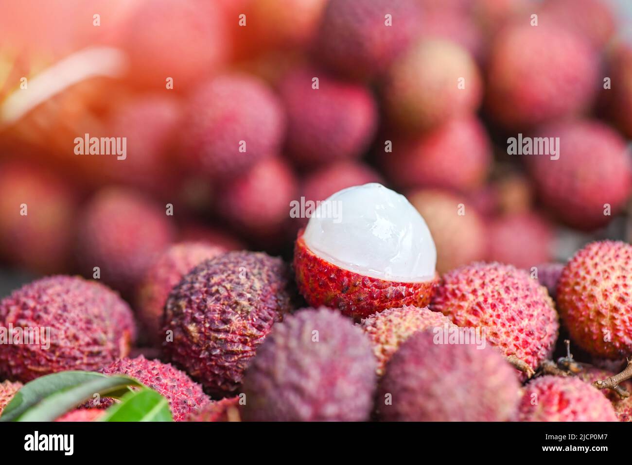 Close up lychee fruit , fresh ripe lychee peeled from lychee tree at ...