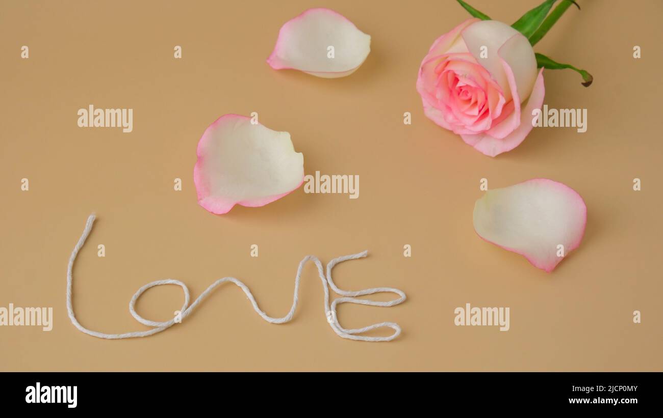 Delicate pink rose on beige background. Word LOVE made of rope. Minimal ...