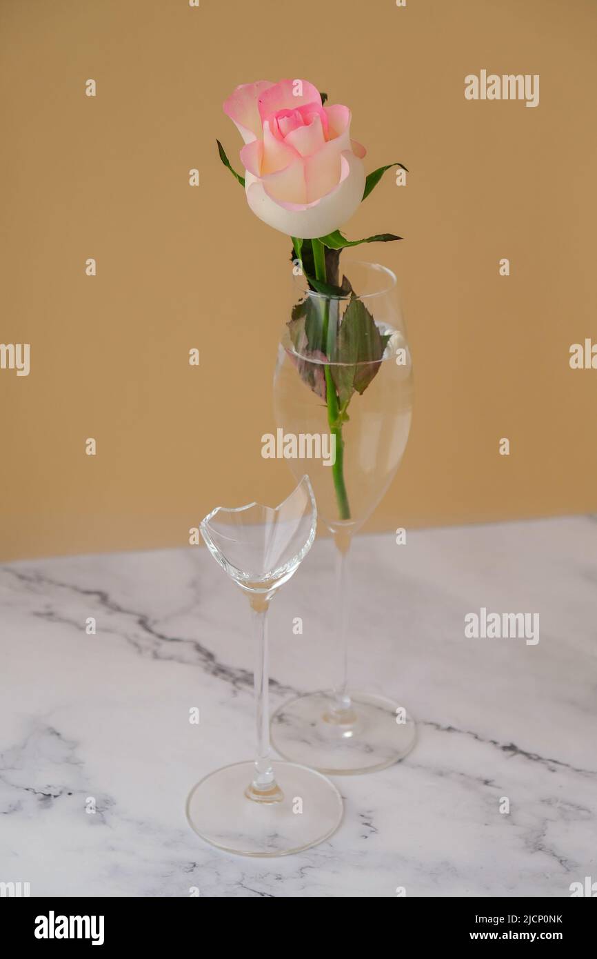 Broken champagne glass with Delicate pink rose on beige background ...