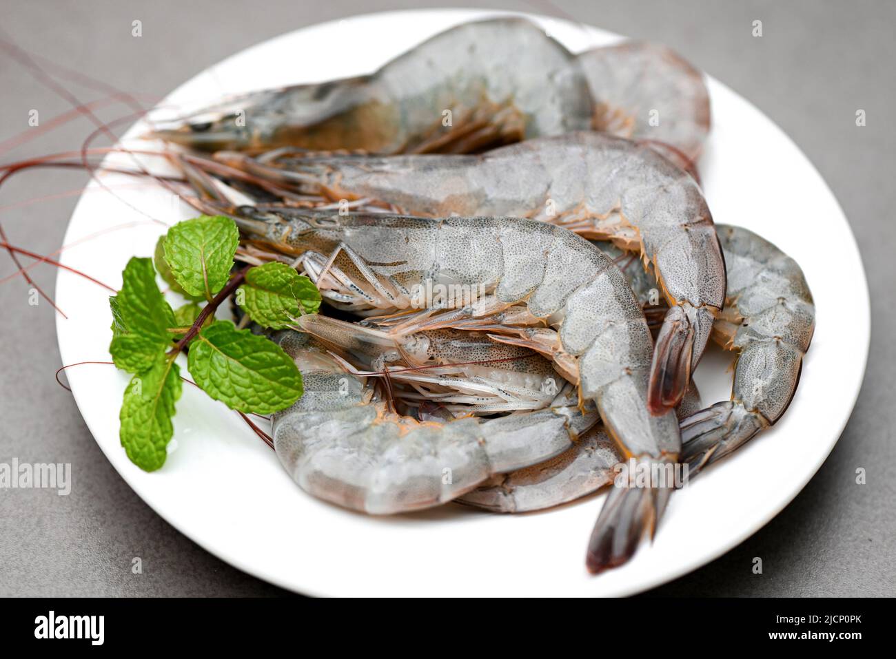 raw shrimp on white plate with mint leaf and shrimps background for ...