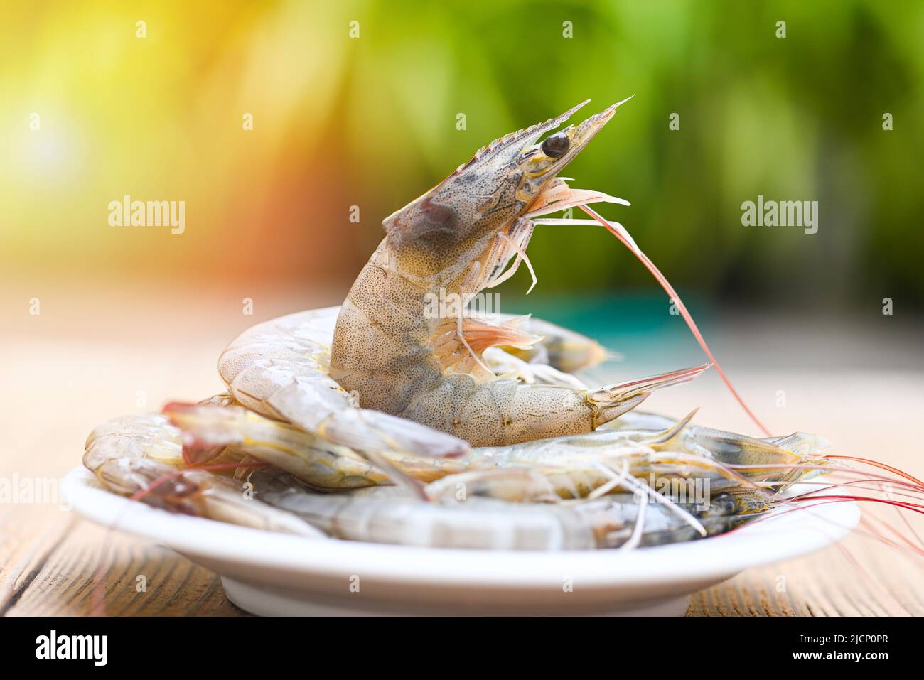 raw shrimp on white plate for cooking with nature green background ...