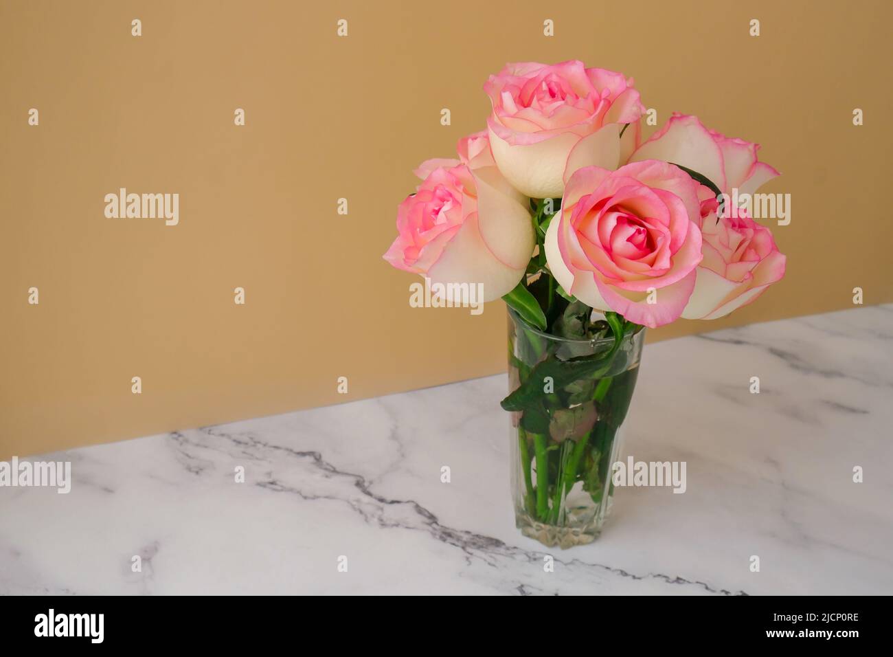Delicate pink roses on beige background. Minimal composition. Abstract ...