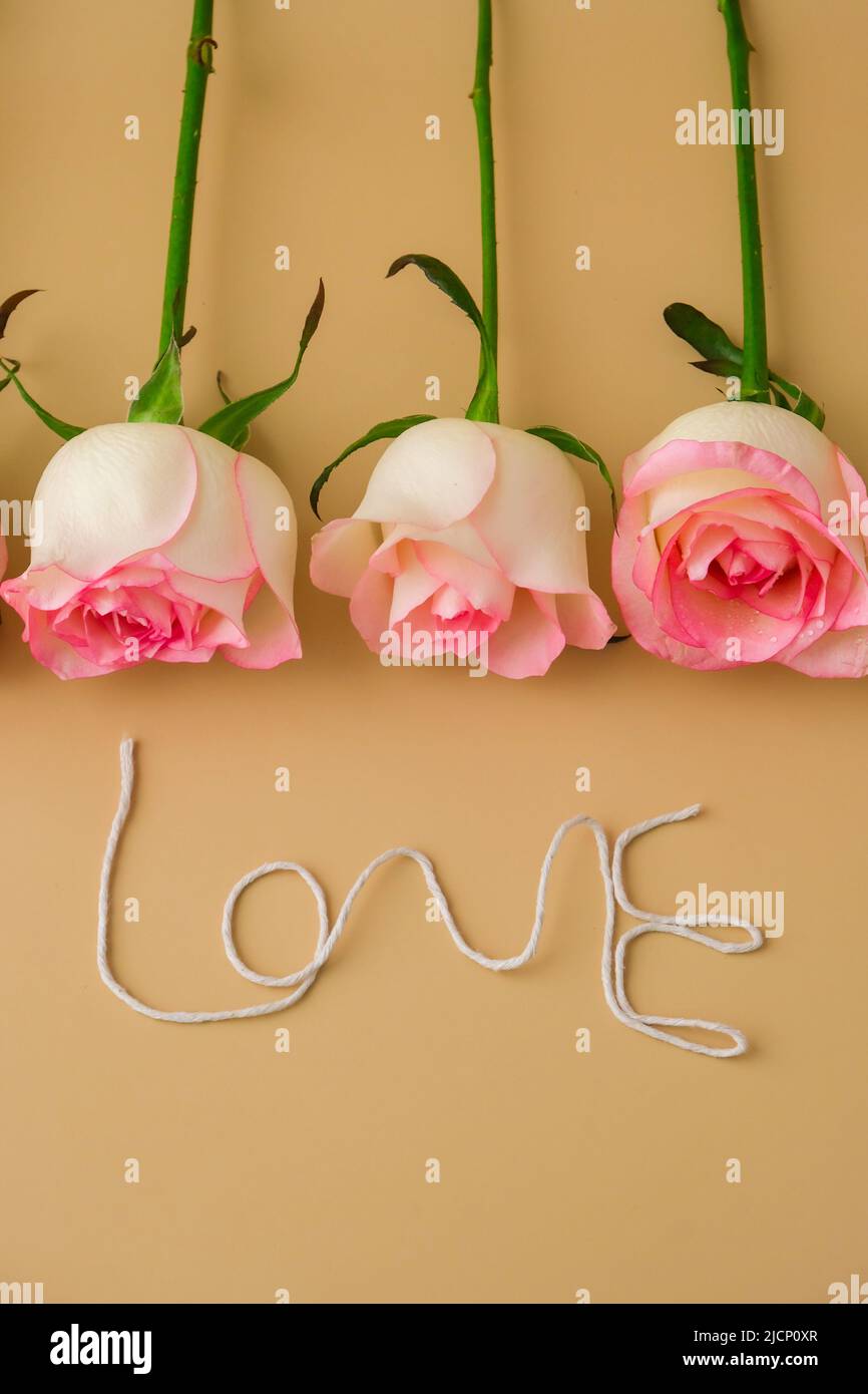 Delicate pink roses on beige background. Word LOVE made of rope ...