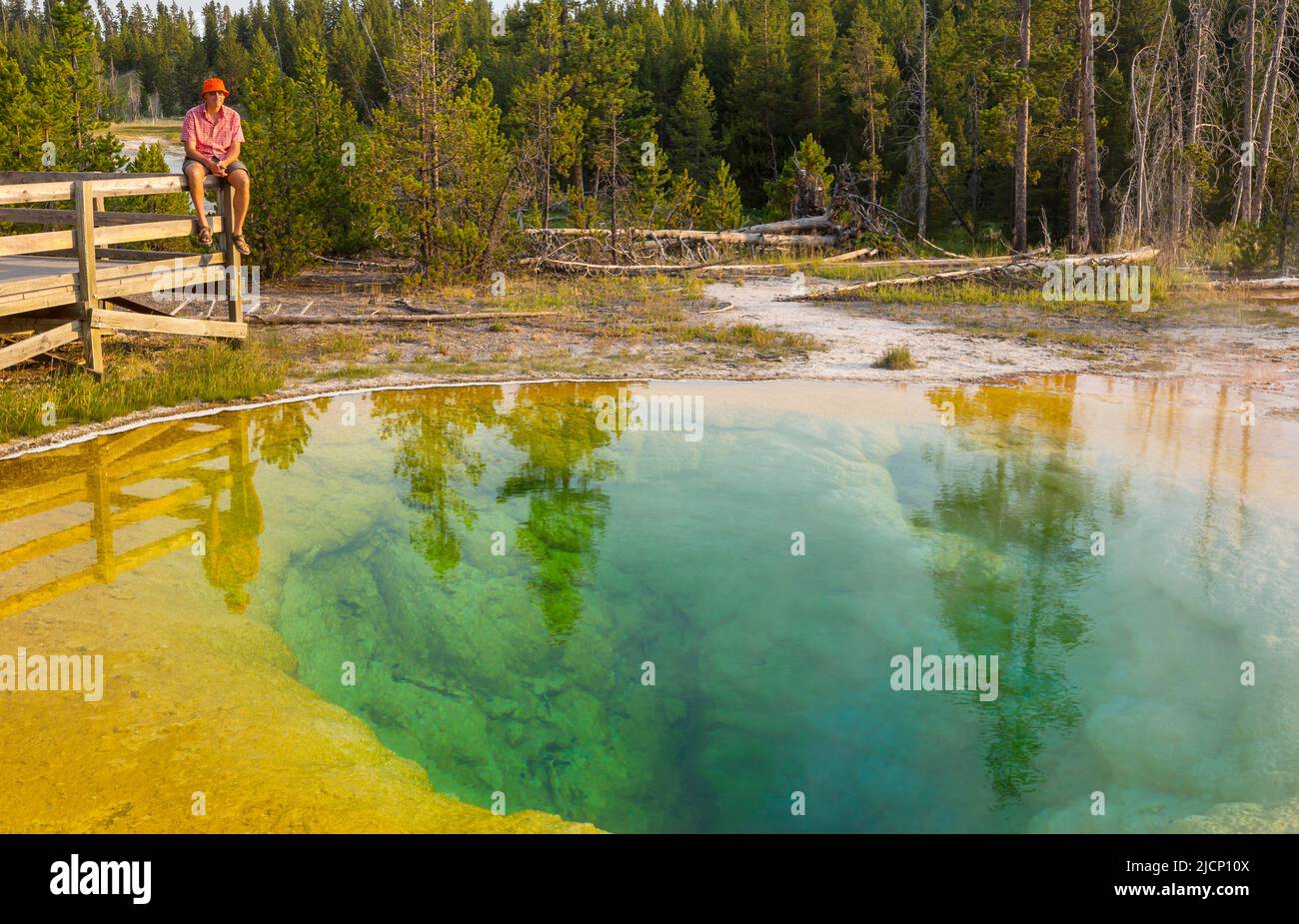 Colorful Morning Glory Pool - famous hot spring in the Yellowstone ...