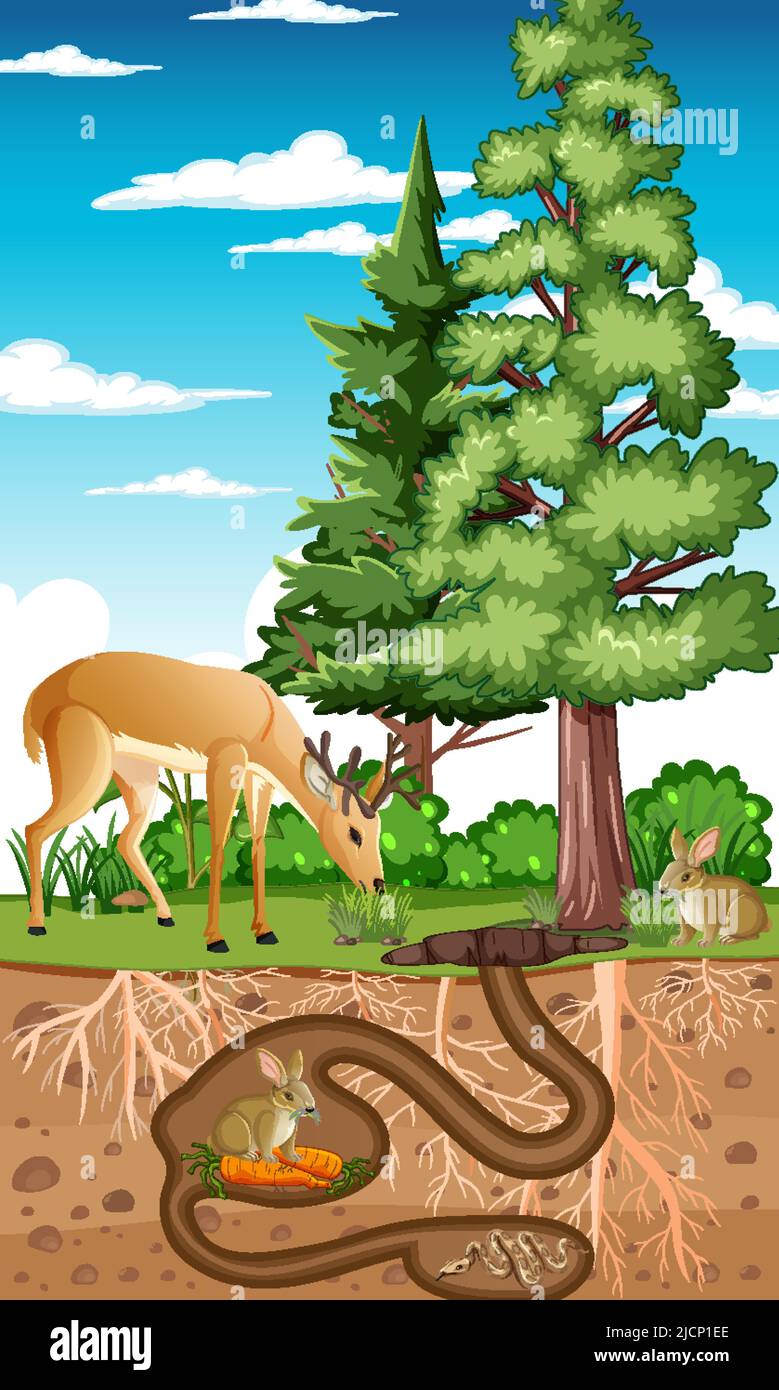 Underground animal hole in cartoon style illustration Stock Vector ...