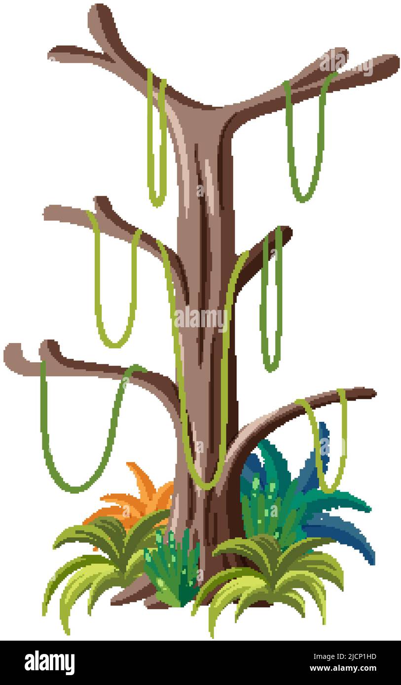 Isolated tree with liana illustration Stock Vector Image & Art - Alamy