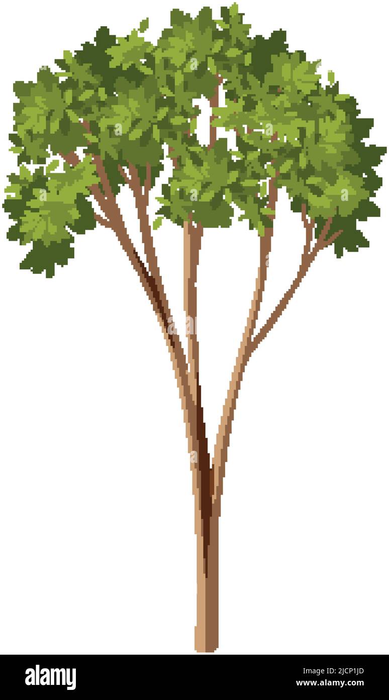 Isolated tree on white background illustration Stock Vector Image & Art ...