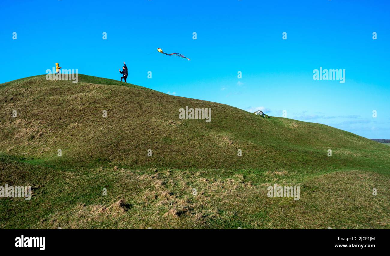 Neolithic horse hi-res stock photography and images - Alamy