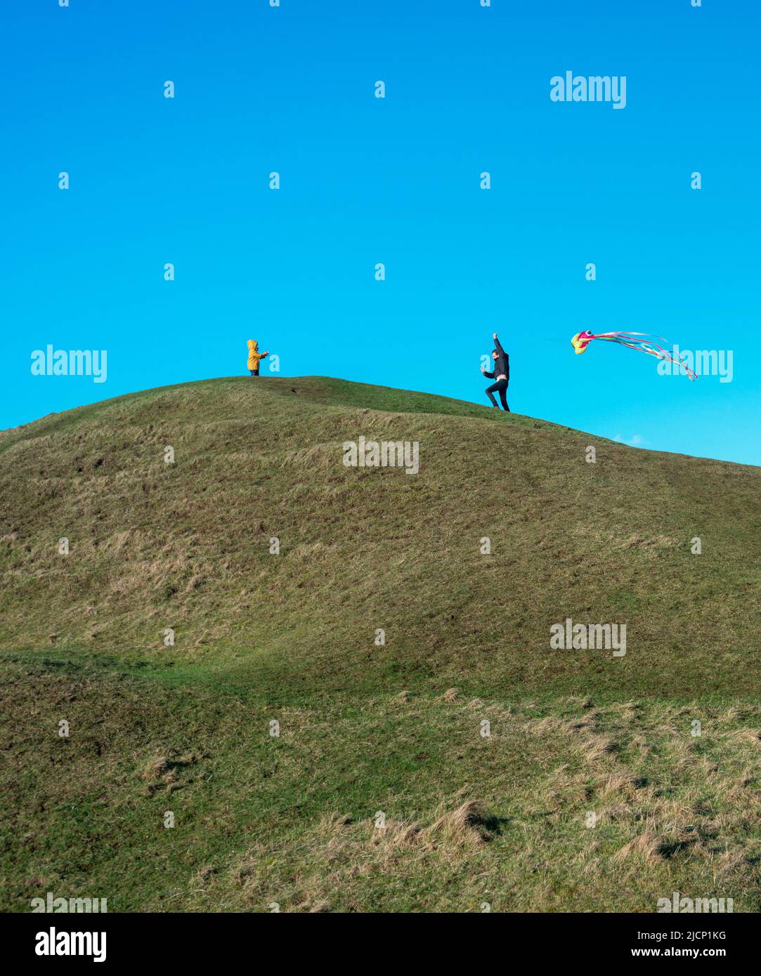 Neolithic horse hi-res stock photography and images - Alamy