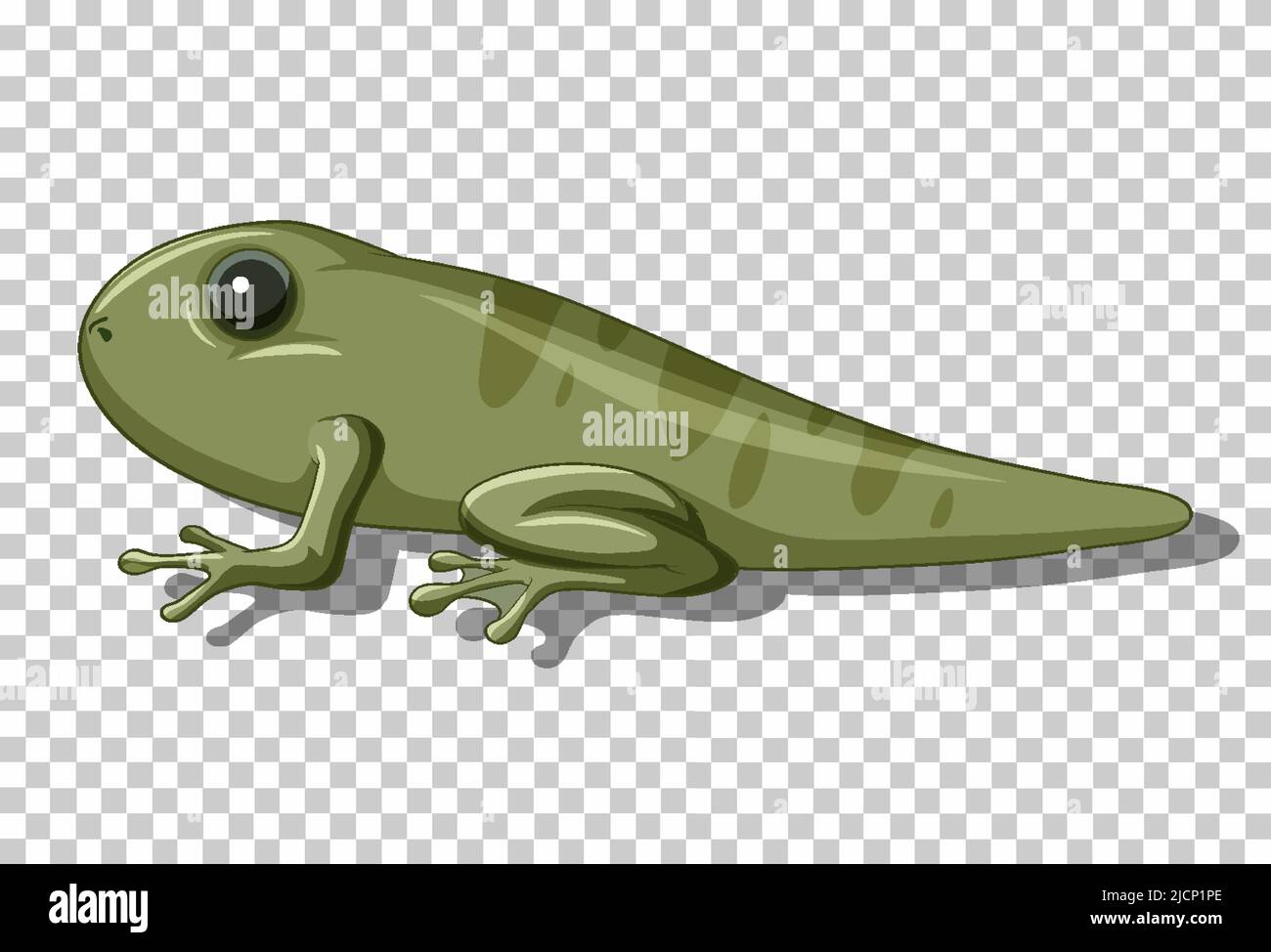 A tadpole in flat cartoon style illustration Stock Vector Image & Art ...