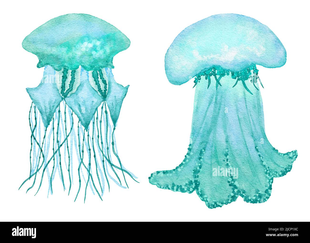 Watercolor illustration of jellyfish in blue turquoise purple colors ...