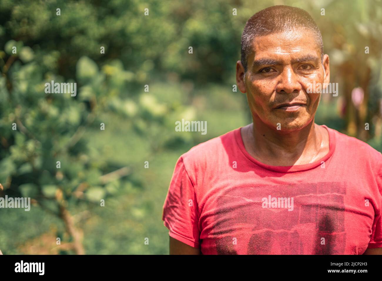 Nicaraguan countryside hi-res stock photography and images - Alamy