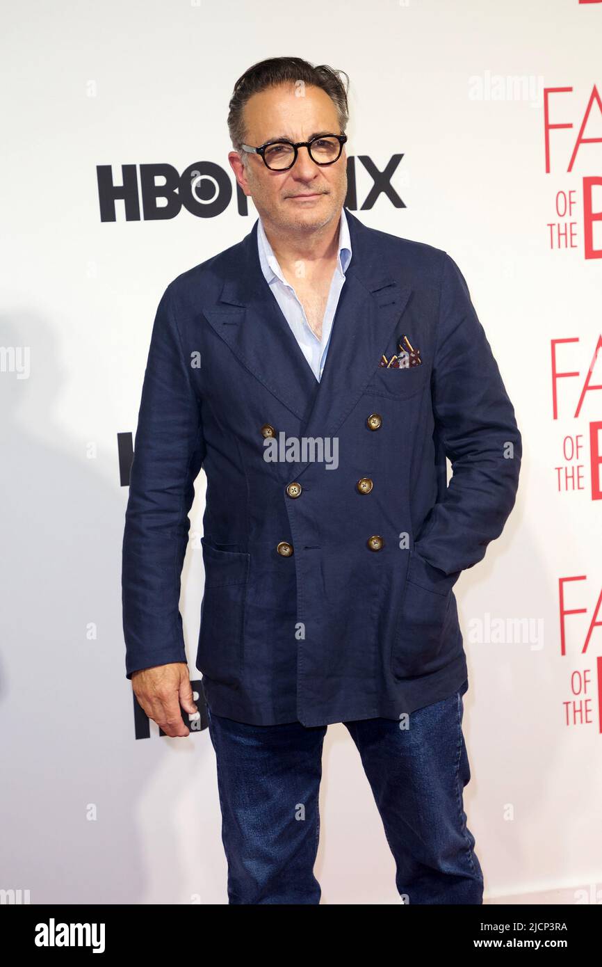 MIAMI, FL - JUNE 14 d Andy Garcia attends the "Father Of The Bride ...