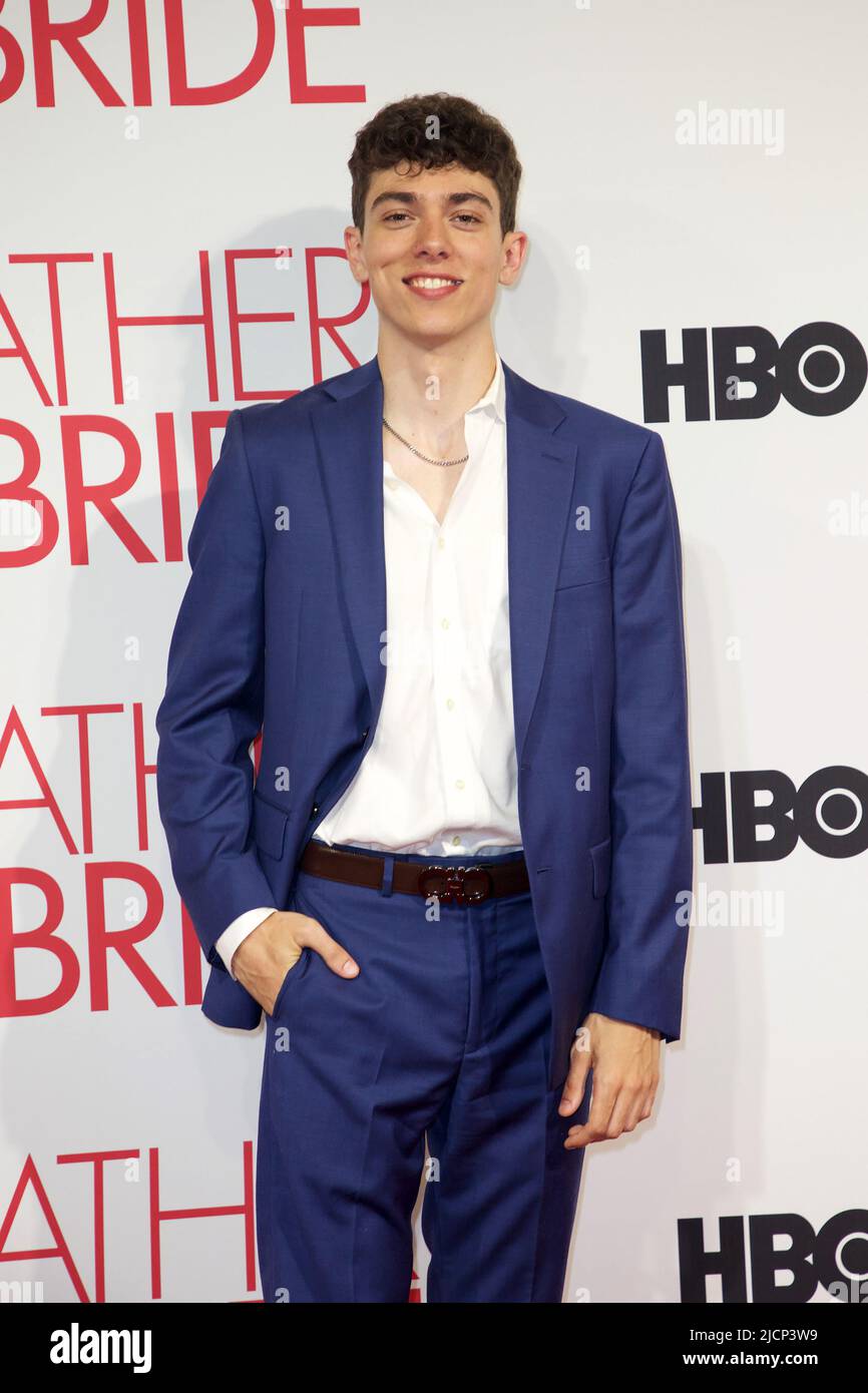 MIAMI, FL - JUNE 14: Sean Dawson attends the "Father Of The Bride ...
