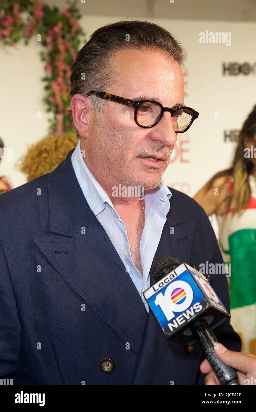 MIAMI, FL - JUNE 14: Andy Garcia attends the "Father Of The Bride ...