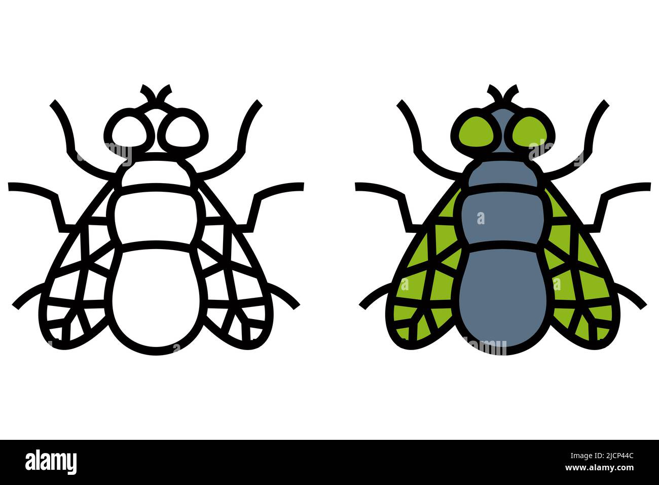 a linear icon of a domestic green fly. harmful insects. flat vector ...