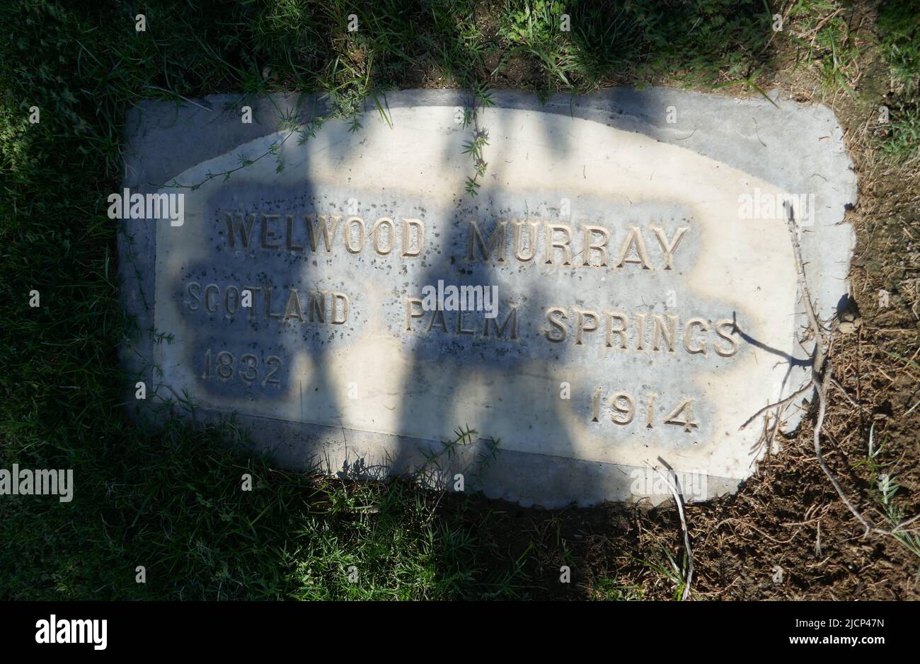 Welwood murray hi-res stock photography and images - Alamy