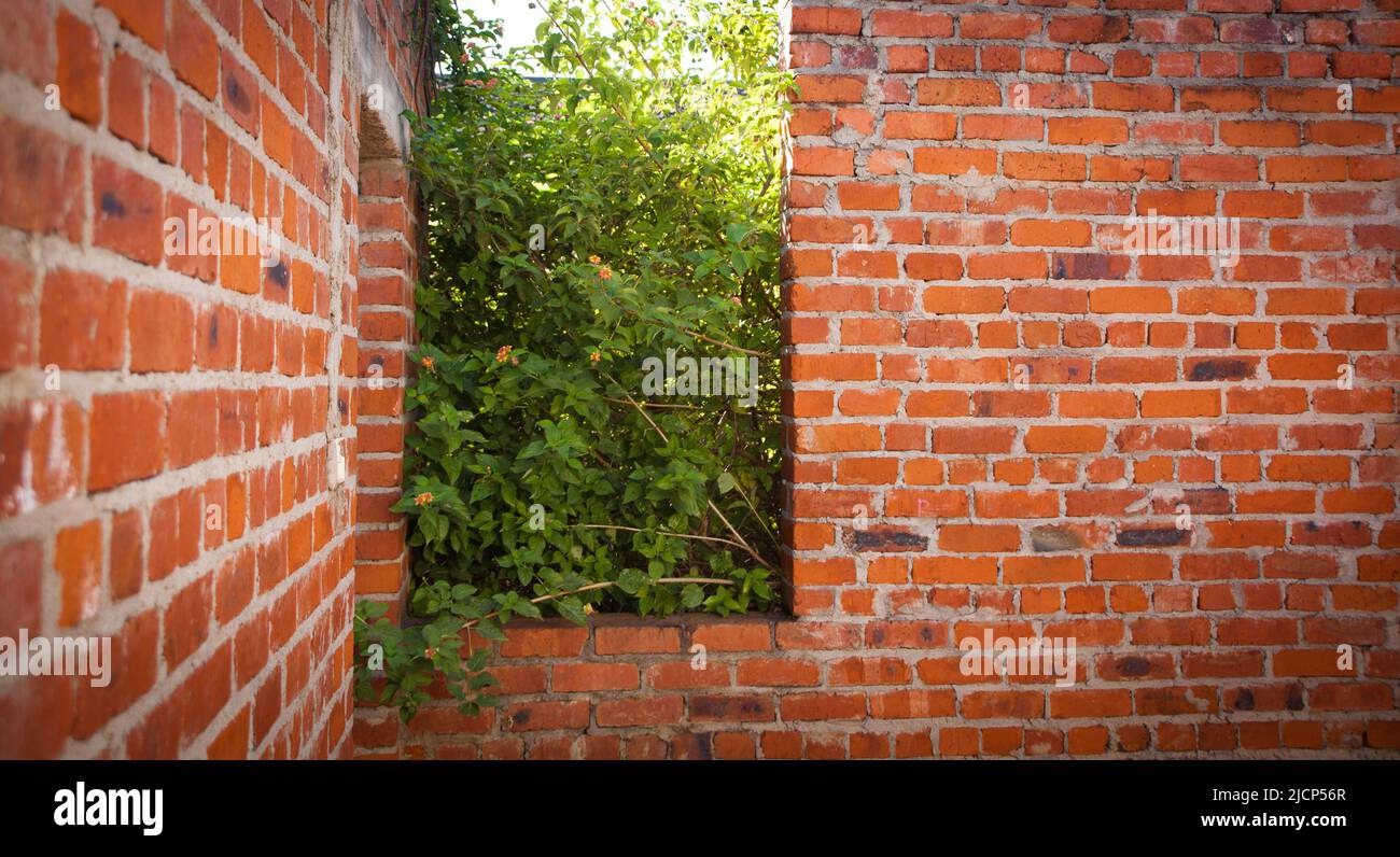 Brickwall with a window Stock Photo - Alamy