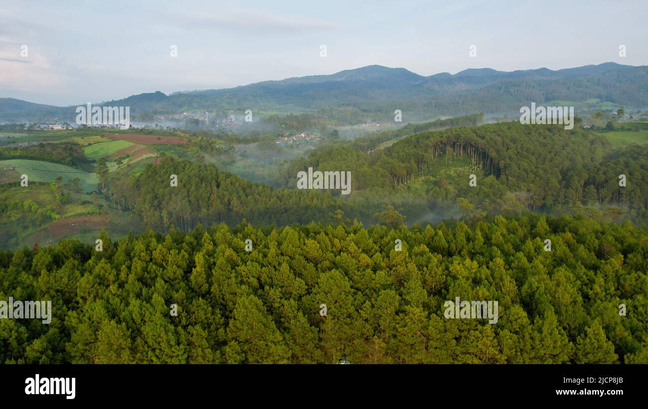 Aerial view of The atmosphere around the tent site of the Datar Pinus ...