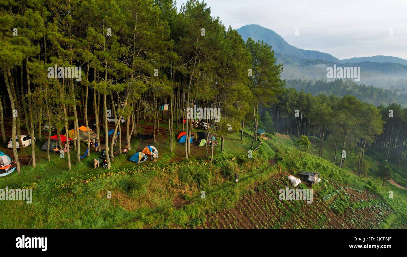 Aerial view of The atmosphere around the tent site of the Datar Pinus ...
