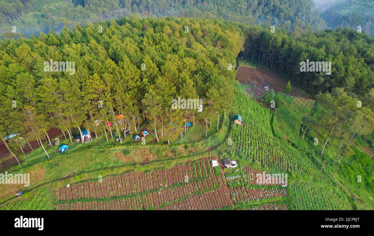Aerial view of The atmosphere around the tent site of the Datar Pinus ...