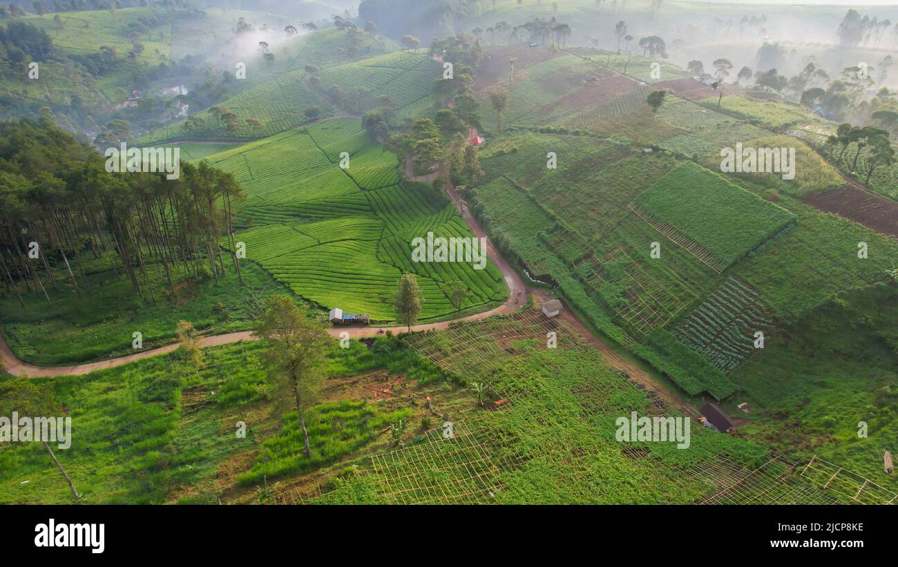 Aerial view of The atmosphere around the tent site of the Datar Pinus ...