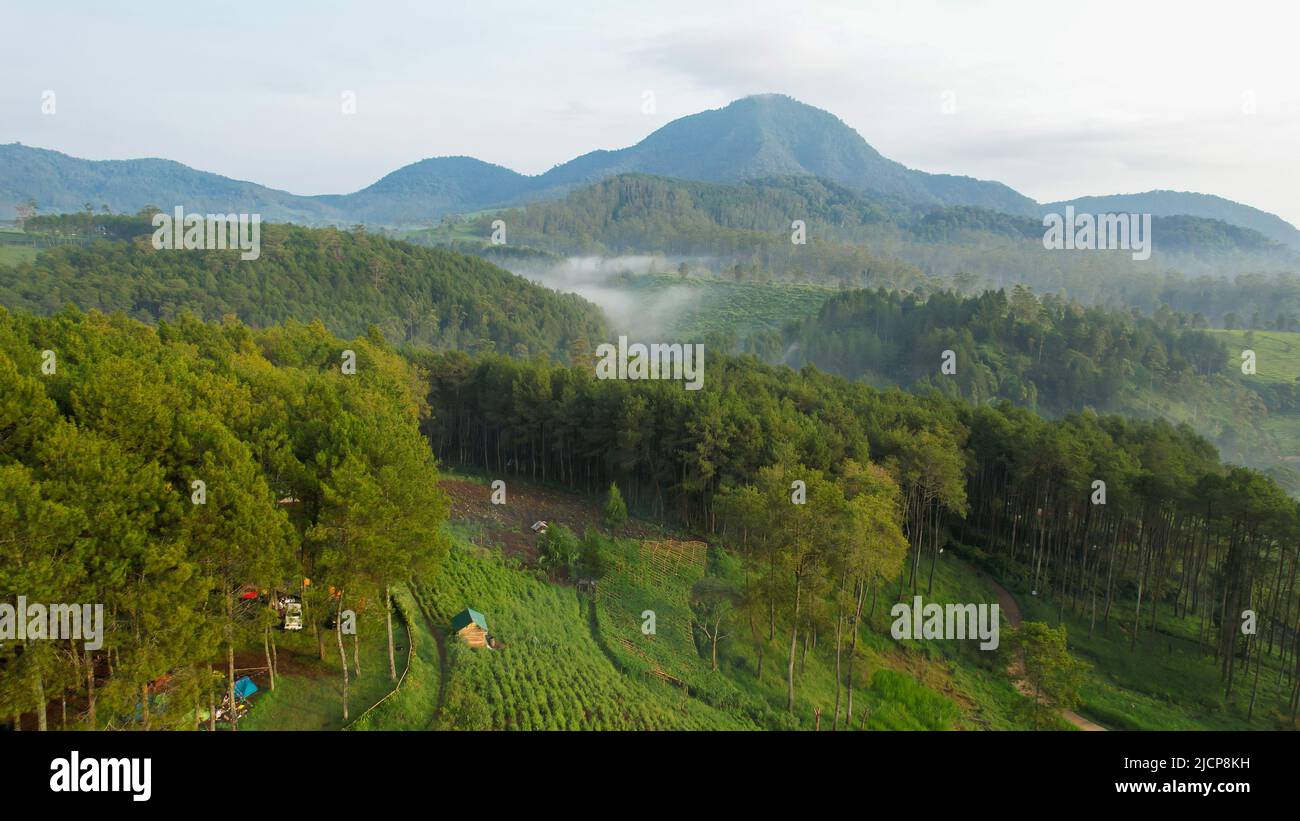 Aerial view of The atmosphere around the tent site of the Datar Pinus ...
