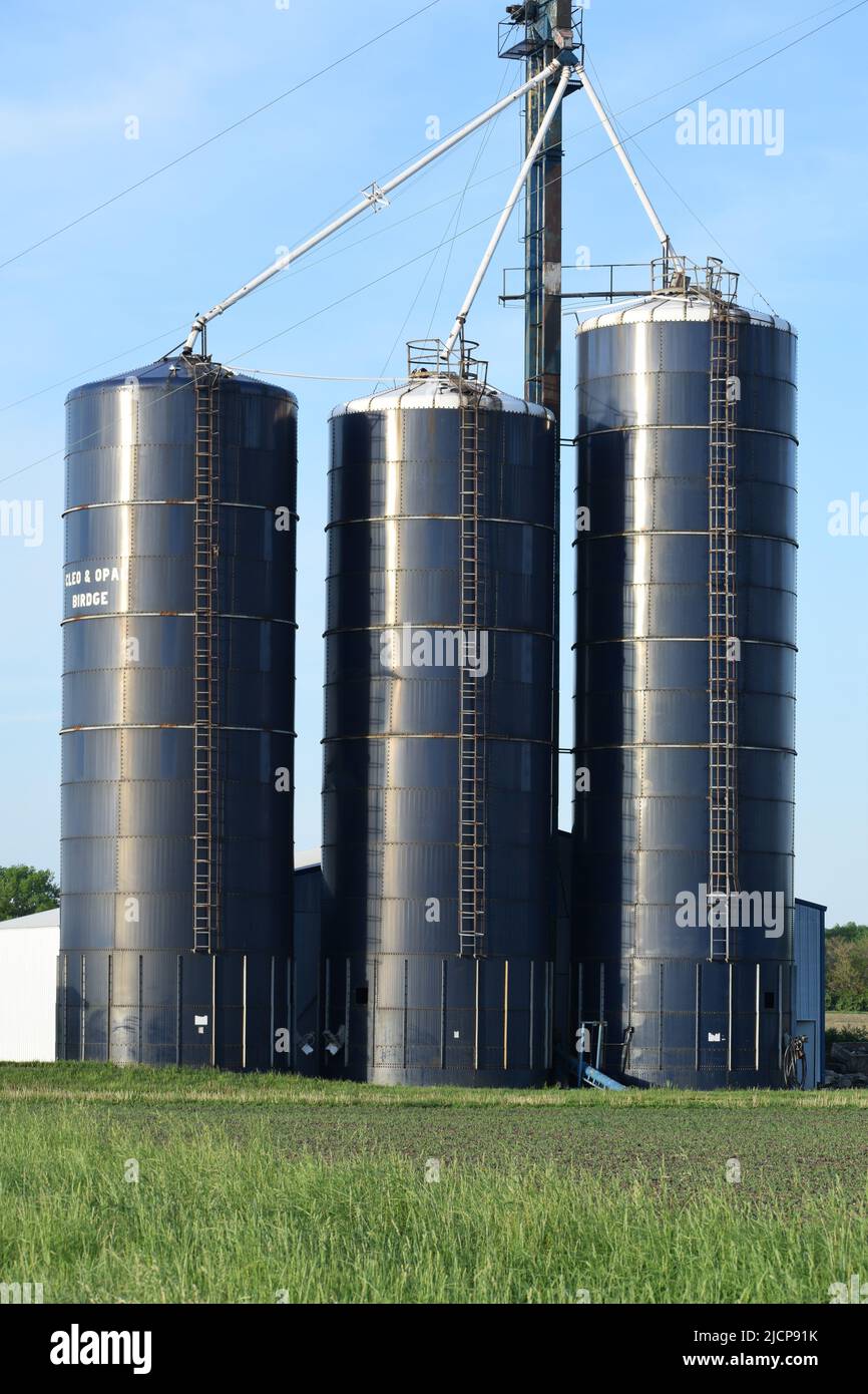 Silos on a farm in Douglas County, IL (East Central Illinois); probably ...