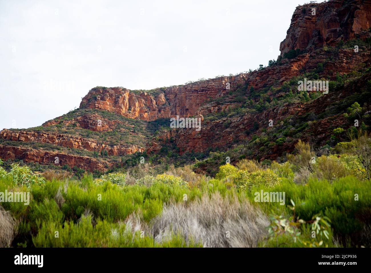 Ikara-Flinders Ranges National Park - Australia Stock Photo - Alamy