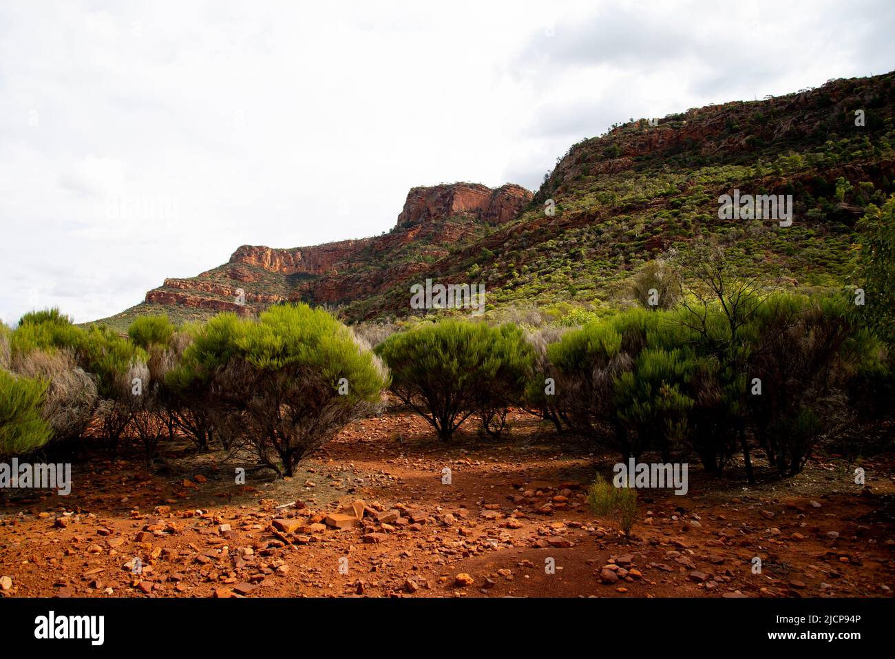 Ikara-Flinders Ranges National Park - Australia Stock Photo - Alamy